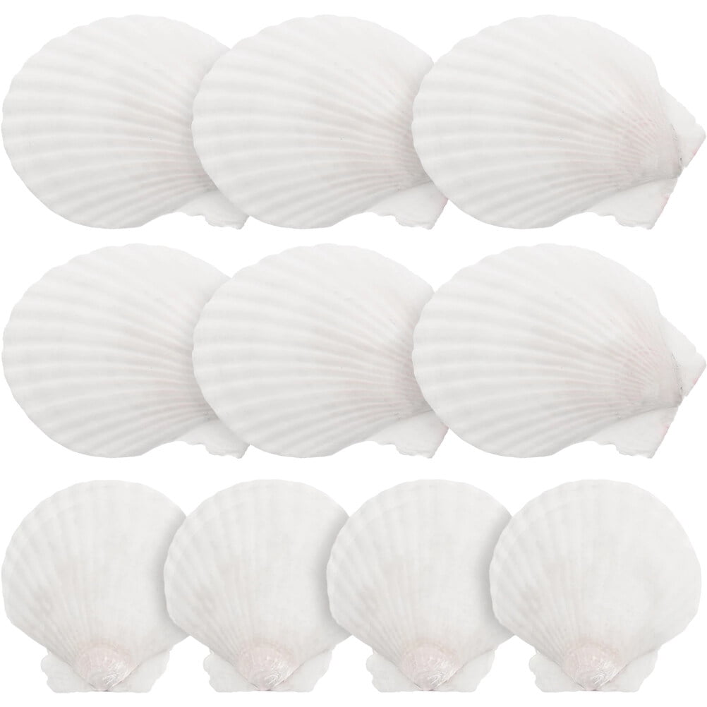 10Pcs Shell Crafts Barbecue Shell Plates Seashell Dinner Plate Fruit ...