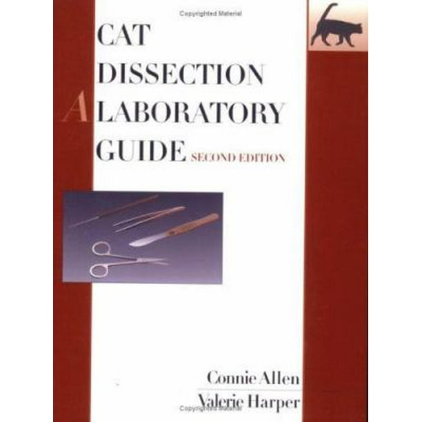 Dissection Animals