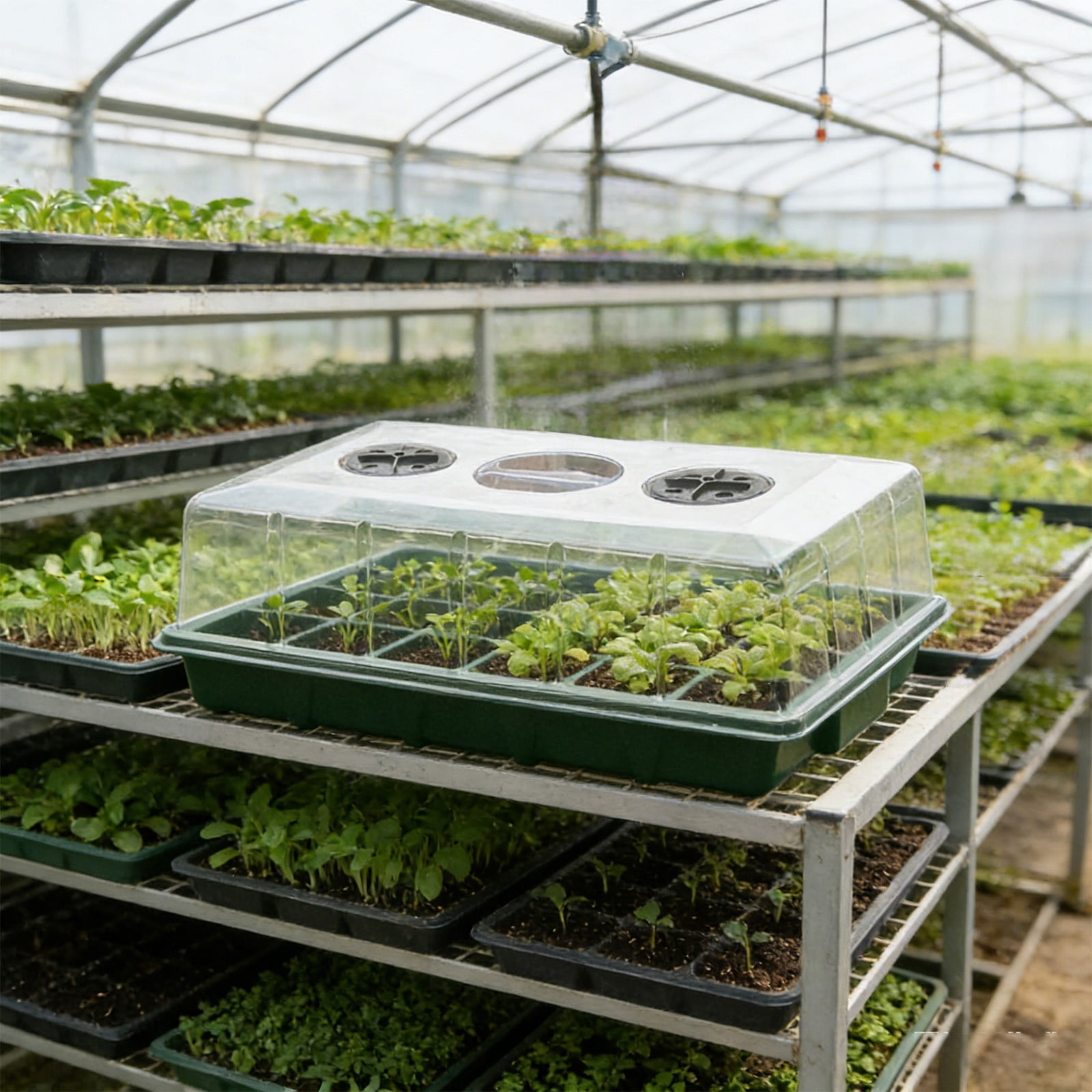 Click here for Caiyueke 24 Cell Seed Starter Tray Kit With Humidi... prices