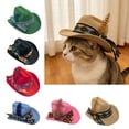 AOOOWER Unique Cats Denims Hat Fun Accessory Decorative Pet Hat For ...