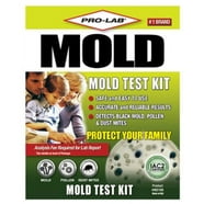Immunolytics DIY Mold Test Kit - Easy to Use Professional 5 Plate Room ...