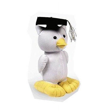 Graduation Autograph Cat - Toys - 1 Piece - Walmart.com
