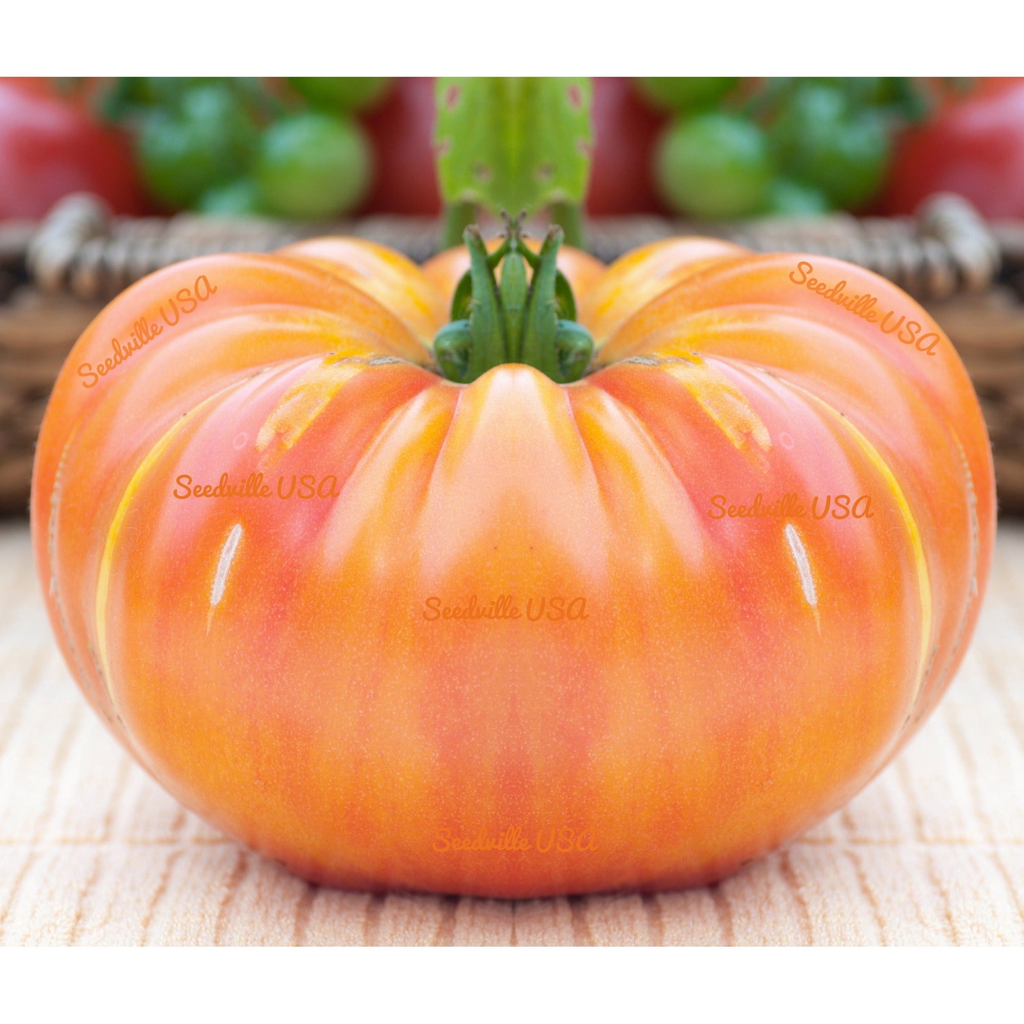 Click here for Seedville Usa 50 Oaxacan Jewel Tomato Bicolor Gold... prices