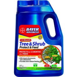 Bayer Tree And Shrub