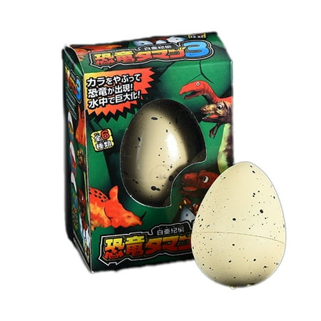 New Exotic Water Hatching Dinosaur Egg Magic Dragon Egg Innovative ...