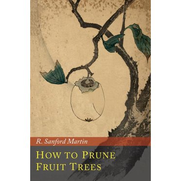 Grow a Little Fruit Tree - Paperback - Walmart.com