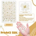 100 pcs Dried Pressed Flowers Small Dry Flowers Real Natural Resin ...