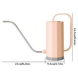 Succulent Watering Pot, Indoor Plant Watering Can, 1L Capacity ...