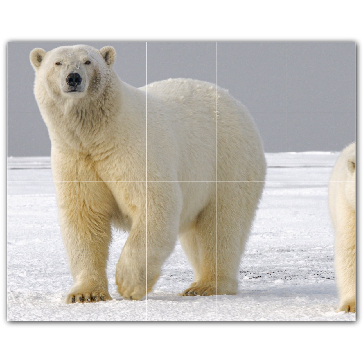 Picture-Tiles.com: Bear Ceramic Tile Wall Mural WAL500111-54L. 40"W x ...