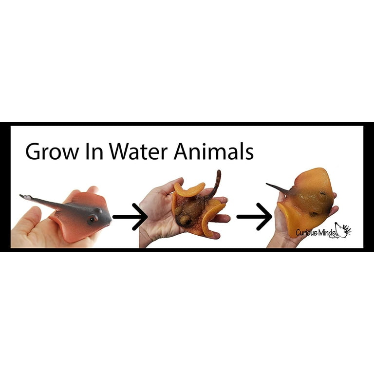 Animals That Grow In Water