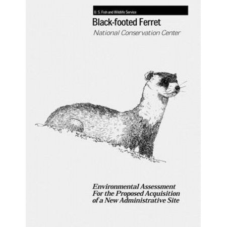 Black-Footed Ferret - National Conservation Center: Environmental ...