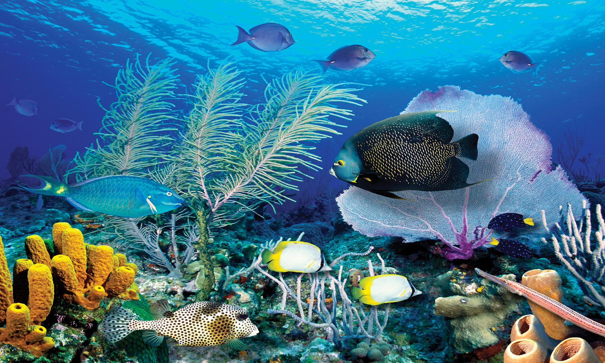 Biggies Window Well Scenes - Ocean-100 - Walmart.com