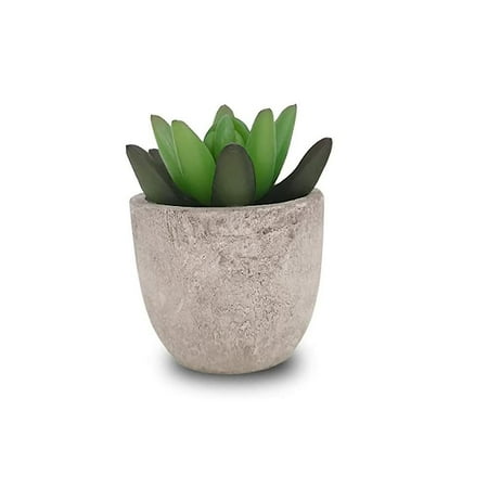 Xizioo Starlight-small Green Artificial Succulent Plants With Gray Pot ...