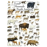 MasterPieces 1000 Piece Jigsaw Puzzle - Land Mammals of North America ...