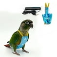 Bird Leash And Harness For Conures Flight Training And Outdoor ...