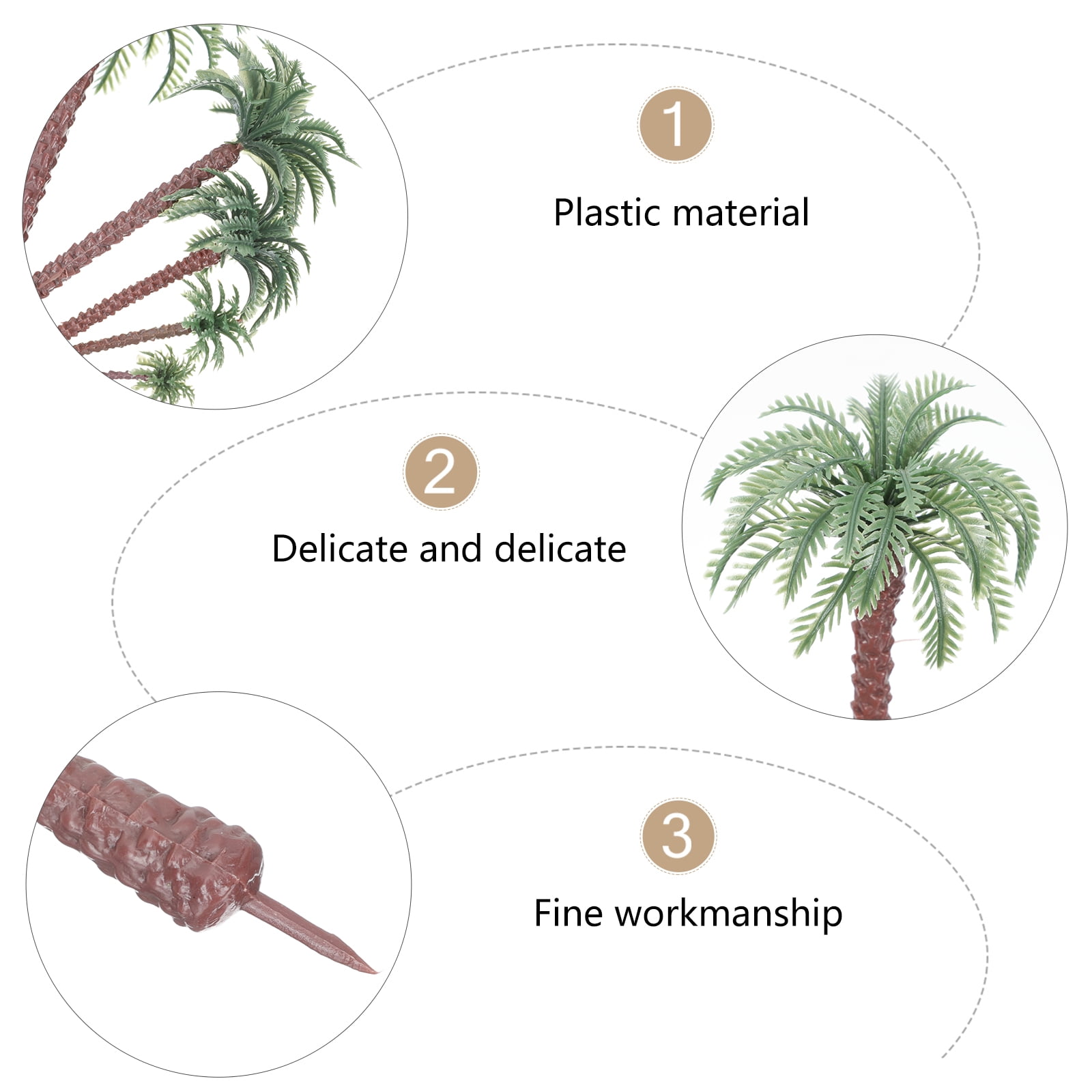 Coconut Palm Tree Parts
