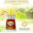 Big Bag Outdoor Fly Traps - 6 Pack, Disposable Hanging Fly Catchers ...