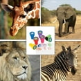 Zoo Animal Stamps (2Dz) - Stationery - 24 Pieces - Walmart.com