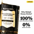BetterAlt Pure Himalayan Shilajit Honey Sticks with Organic Honey ...