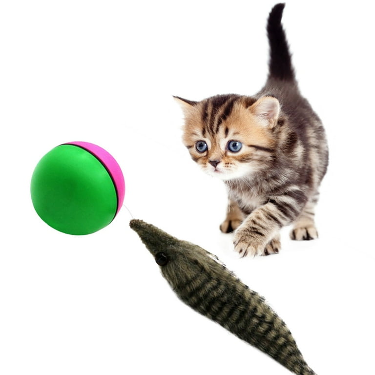 Moving Dancing Cat