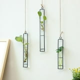 Worgeous 3 Pcs Wall-mounted Container Hanging Planter Green Multiple ...