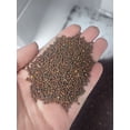 50-150pcs，Bird Iris seeds, a rare and beautiful variety, suitable for ...