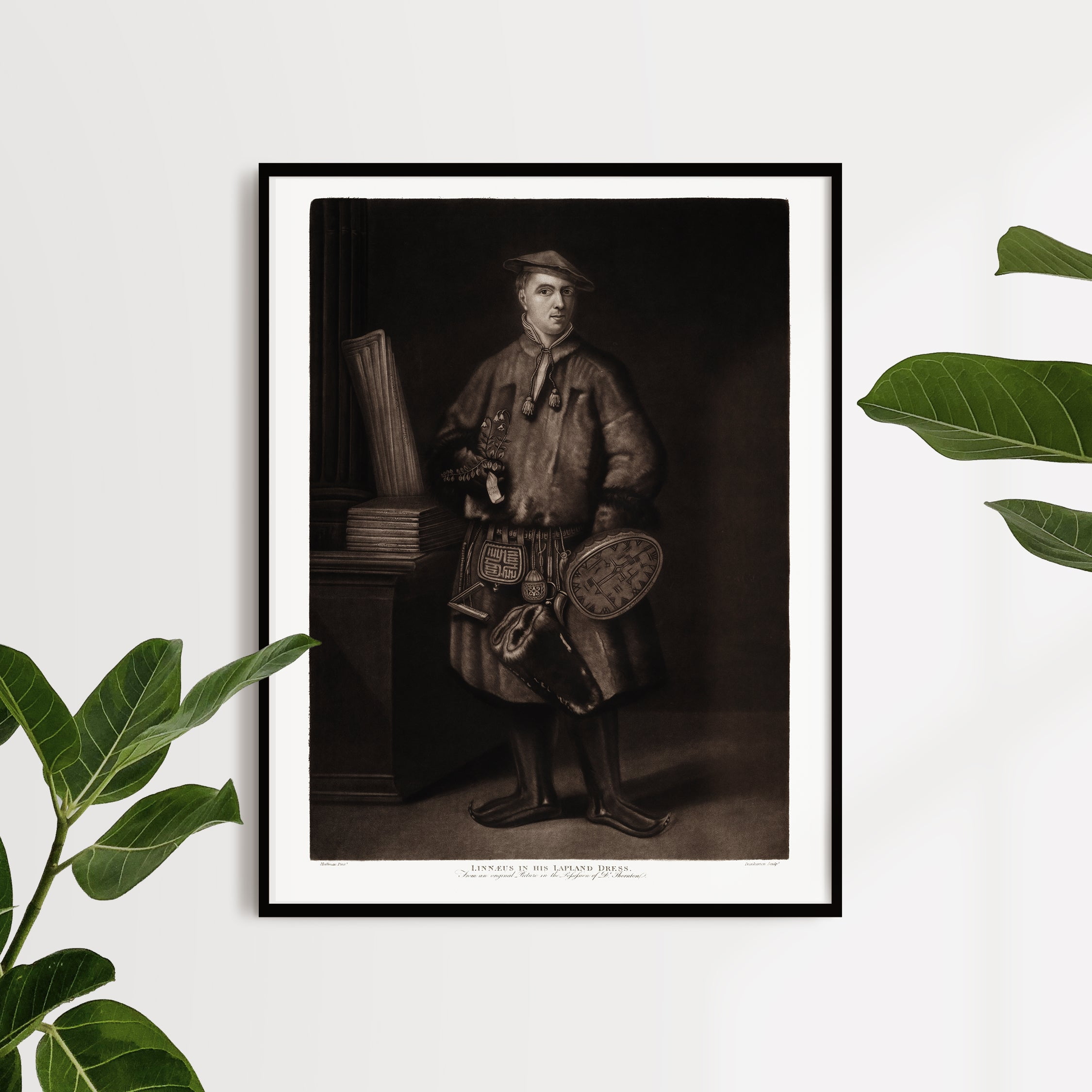 Carl Linnaeus in Lapland Dress - 1807 | Robert John Thornton | Premium ...