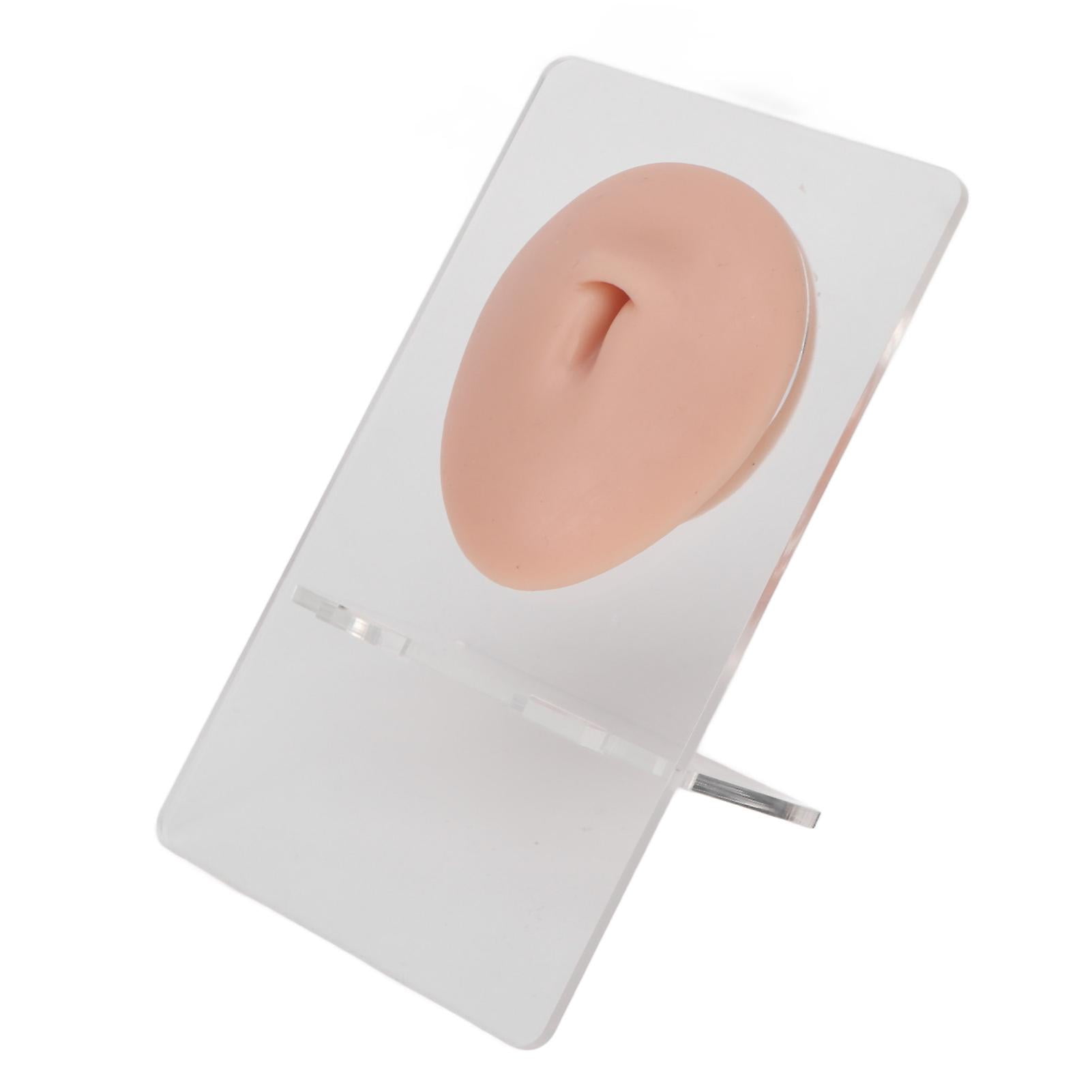 Silicone Belly Model 3D Piercing Practice Acupuncture Display Soft ...