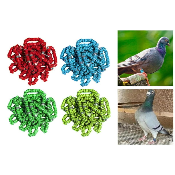 200x Reusable Aluminum Pigeon Leg Rings 2023 8mm Bird Foot Bands for ...
