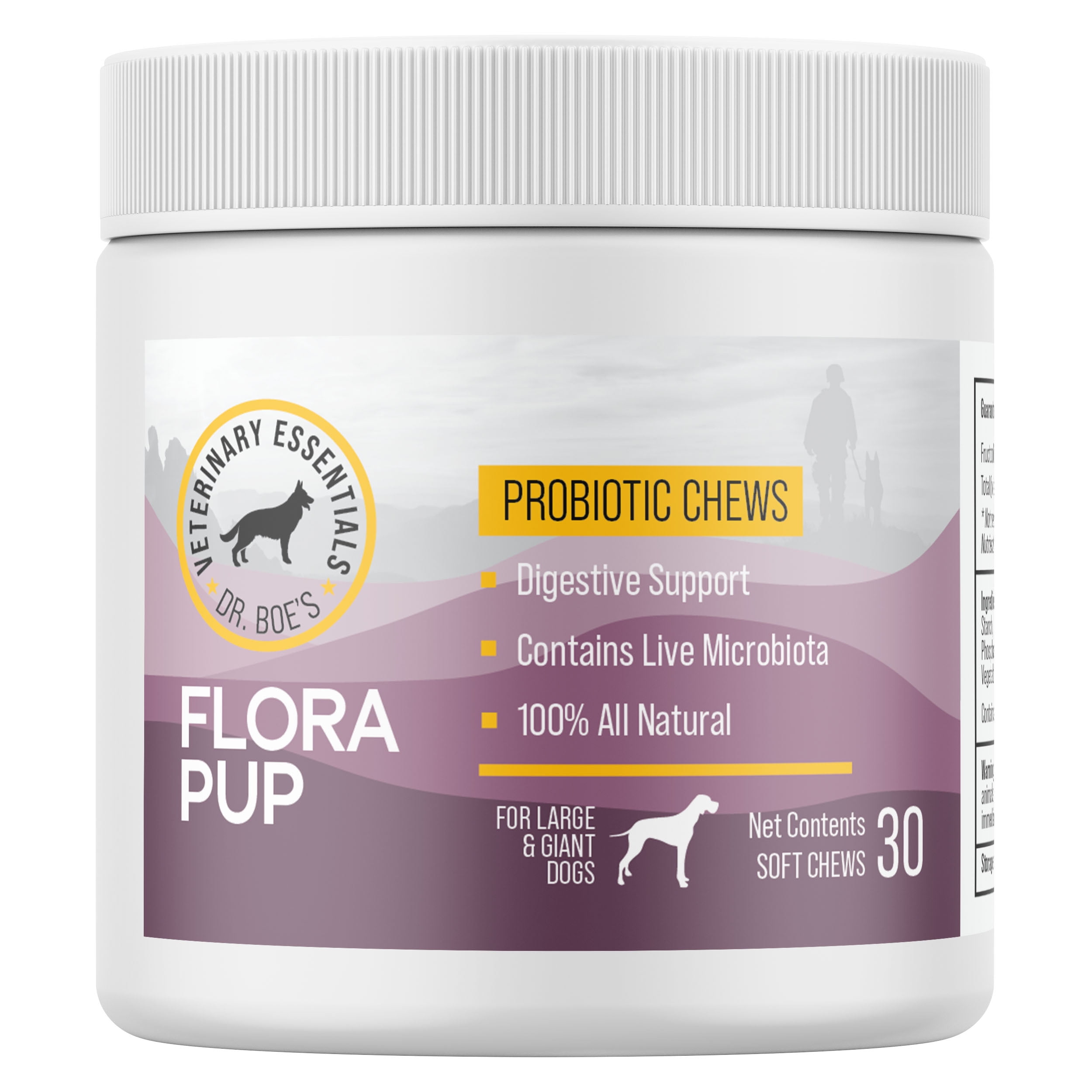 Dr. Boe's Veterinary Essentials FloraPup Probiotic & Digestive Support ...