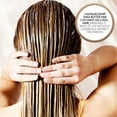 Alayna Naturals Hydrating Deep Conditioning Argan Oil Hair Mask 18.4 oz ...