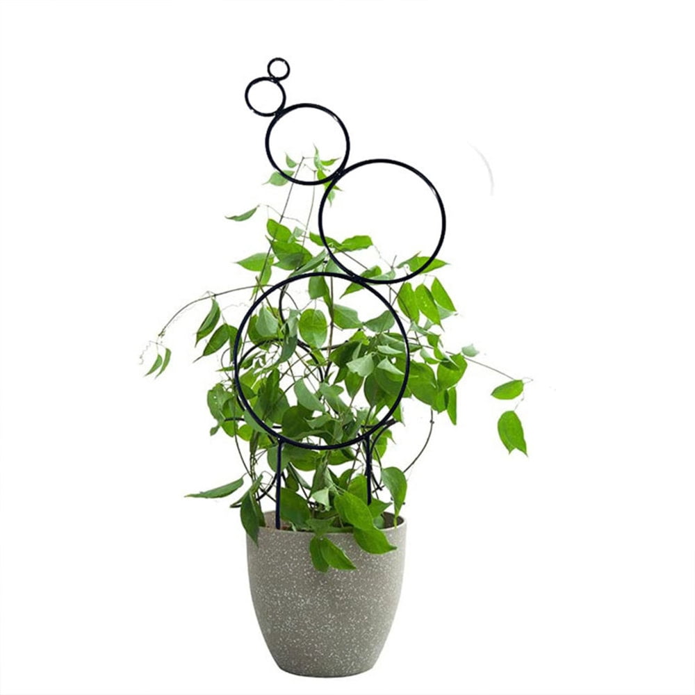 Creative Round Iron Plant Trellis Sturdy Metal Plant Supporting Frame ...