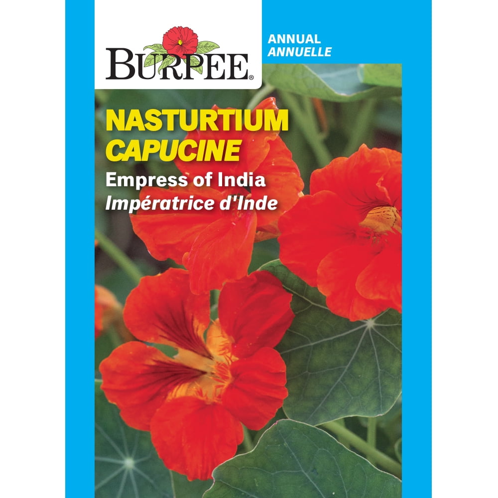 Click here for Burpee Canada Burpee Empress Of India Nasturtium prices