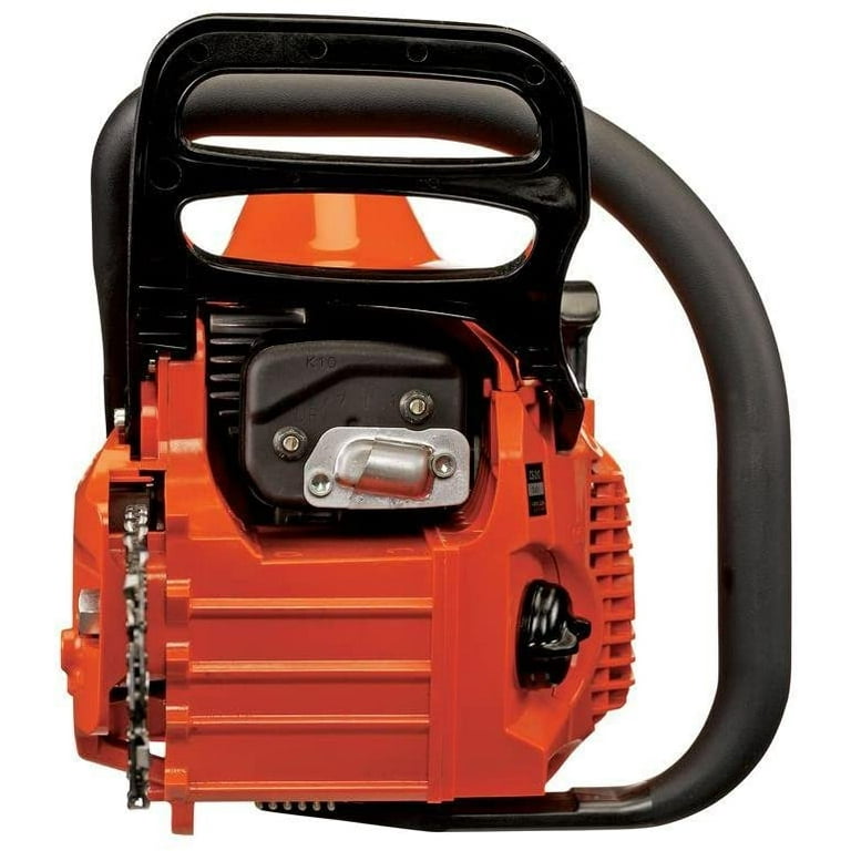 Cs 310 Echo Chain | ppgbbe.intranet.biologia.ufrj.br