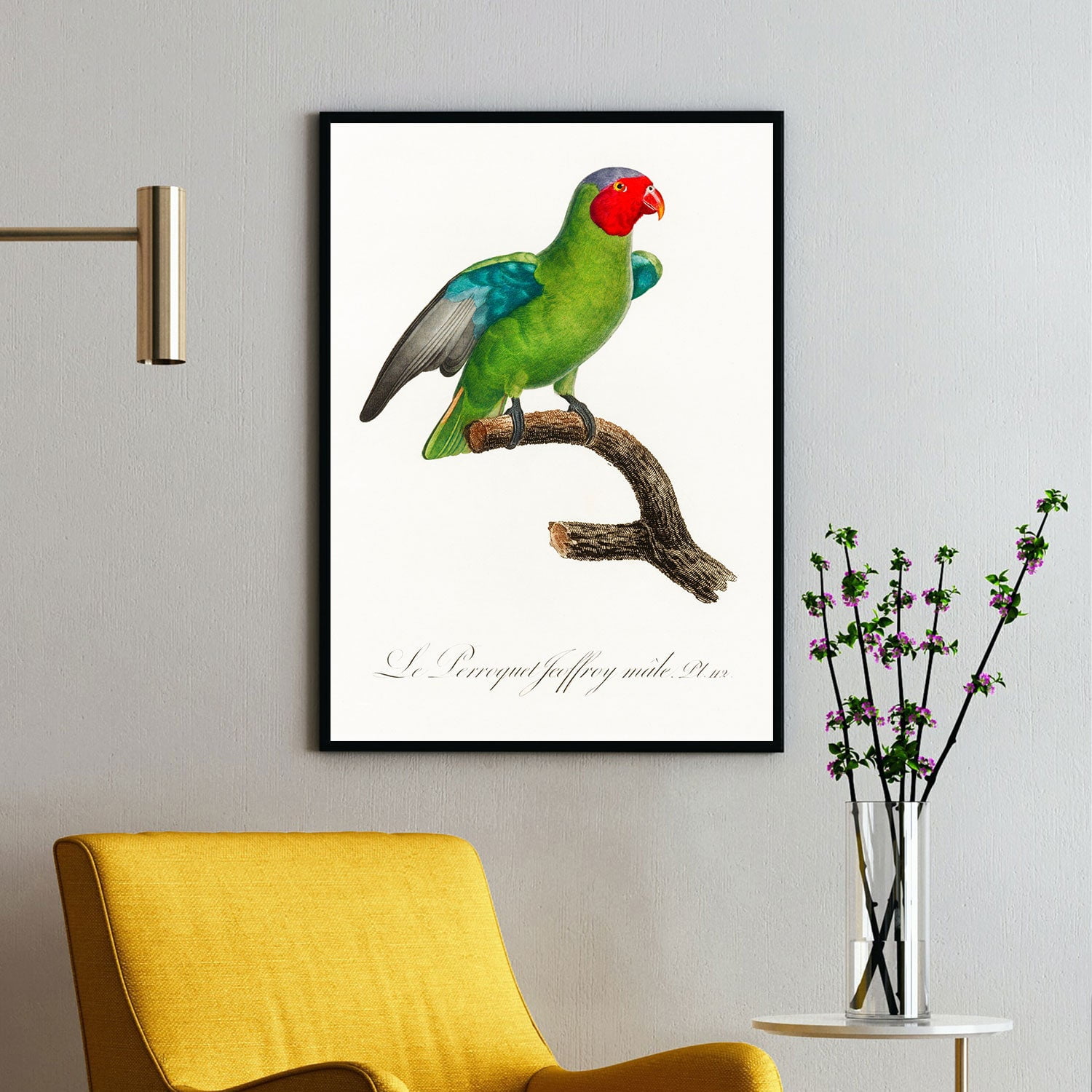 The Red-Cheeked Parrot, Geoffroyus Geoffroyi, Male - 1801—1805 ...