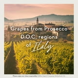 Ruffino Prosecco Rosé, Italian Sparkling Wine, 187ml Mini Bottle, 11% ...