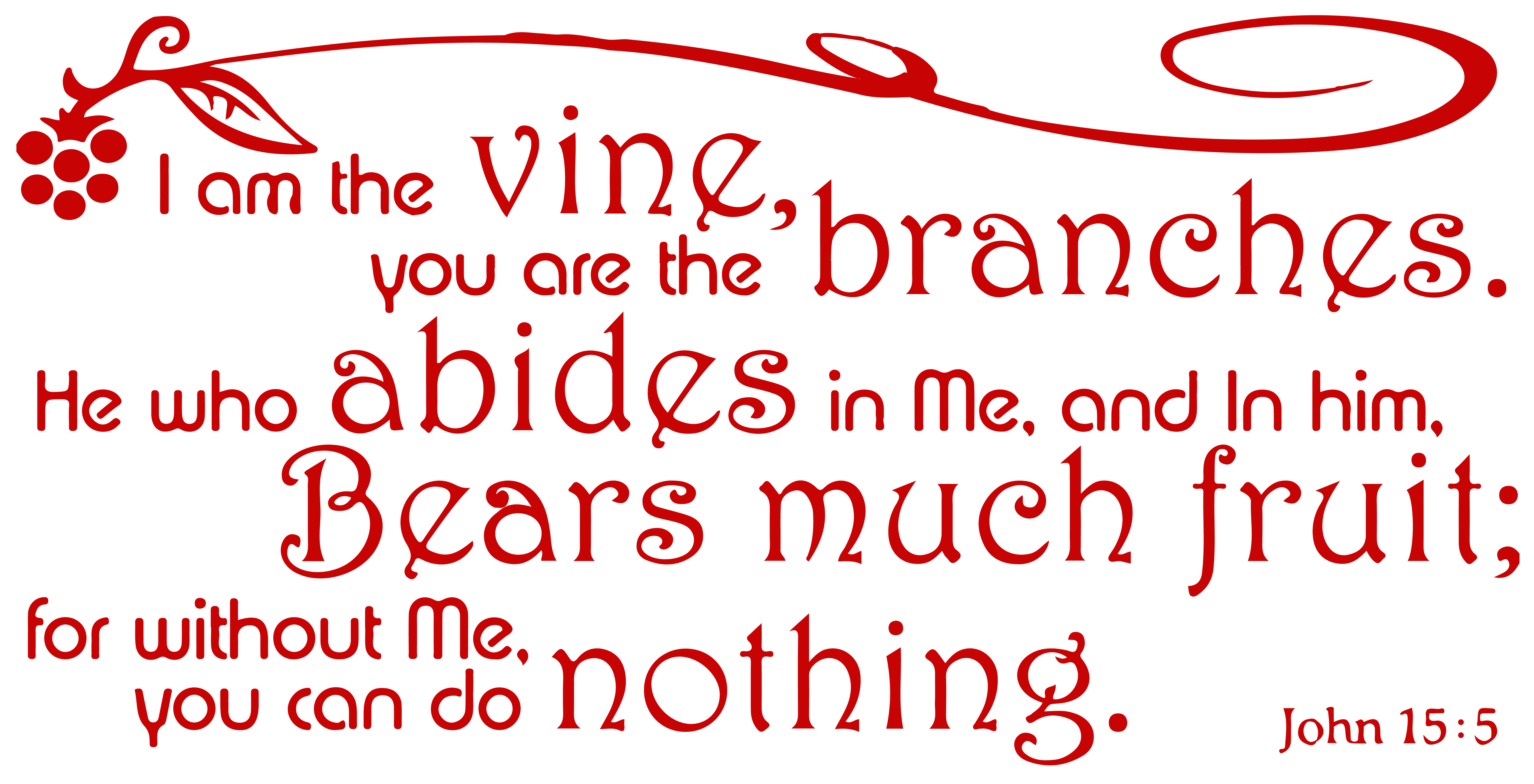 John 15 5 I Am The Vine You Are The Branches he Vinyl Decal Sticker