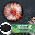 Dry Ice Sushi Plate, 10 Inch Round Japanese Sashimi Serving Geta ...