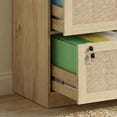 LAZZO File Cabinet with Lock, Lockable Storage Cabinet with Rattan ...