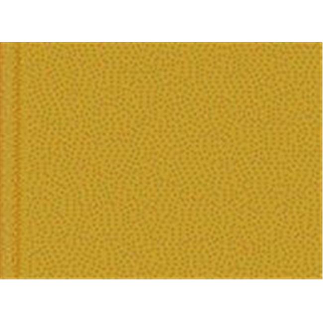 Badger BAD1641 Model Flex Railroad Color Southern Pacific Armor Yellow ...