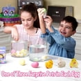 SCS Direct Super Grow Eggs for Kids 3 Pack- Hatch and Grow - Three ...