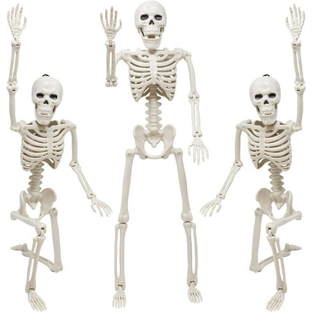 Skeleton Halloween Decoration, 3 Packs 16" Posable Halloween Skeletons ...