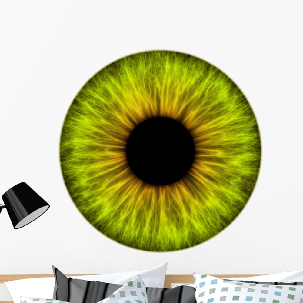 Iris Wall Decal by Wallmonkeys Peel and Stick Graphic (36 in H x 36 in ...