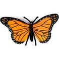 Holzlrgus 4pcs Butterfly Life Cycle Kit Lifestyle Stages of Monarch ...