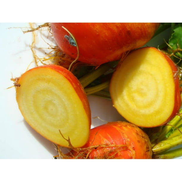 30 BURPEE'S GOLDEN BEET Beta Vulgaris Yellow Root Vegetable Seeds ...