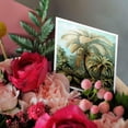 3drose, Famous Biologist 1904 Print of Palm N Ferns, 6 Greeting Cards ...
