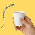 Staples Perk Paper Hot Cups 3 oz. White 100/Pack PK59141 - Walmart.com