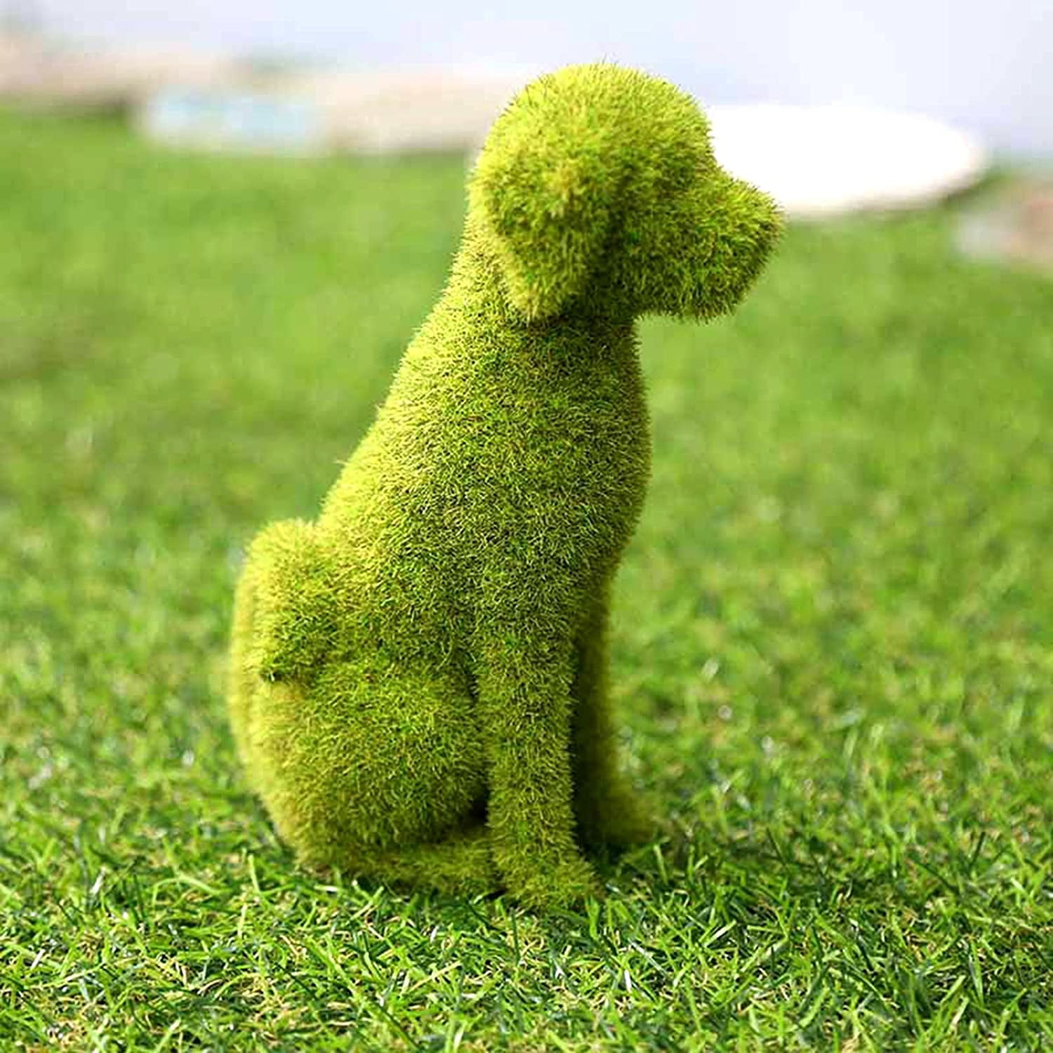 Grassland Mushroom Topiary