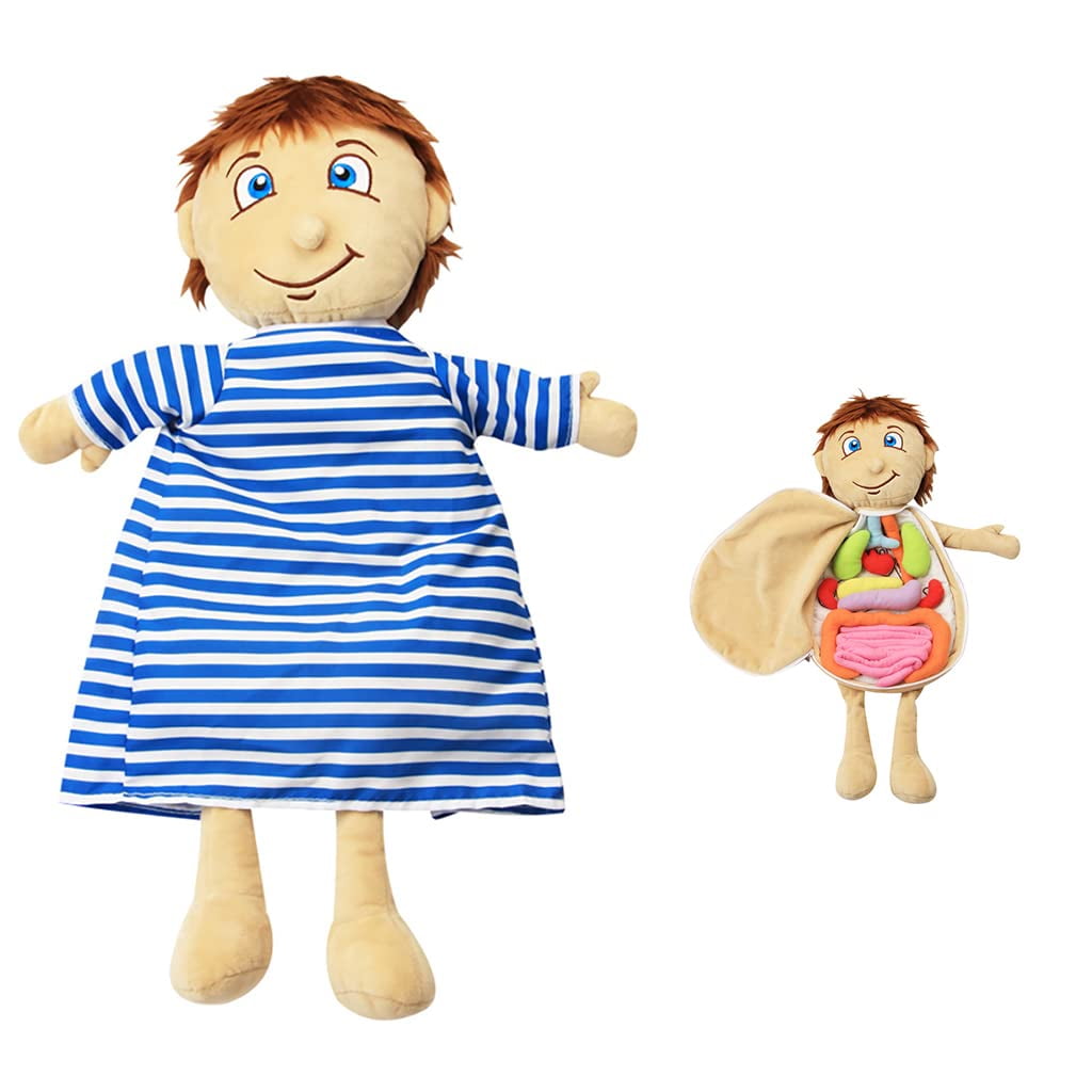 Blublu Park Human Body Anatomy Toy, Preschool Educational Body Organ ...