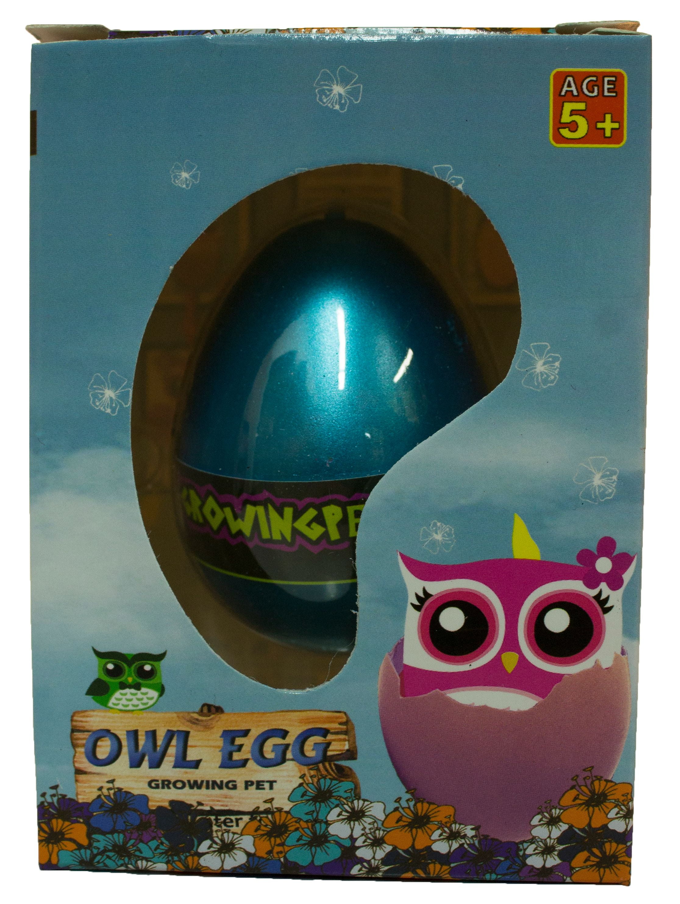 Owl Eggs Hatching